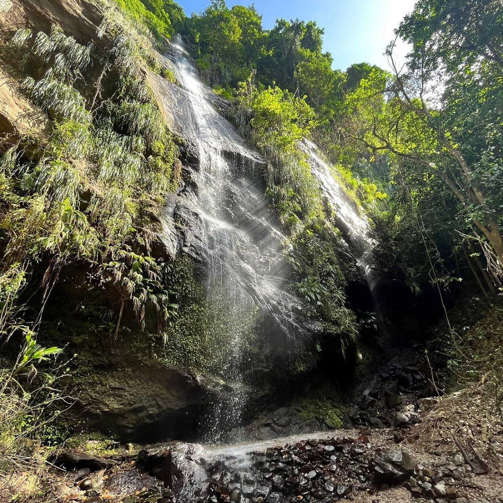 Les 5 plus belles cascades de Martinique à découvrir absolument ...
