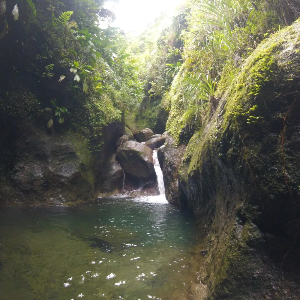 Les 5 plus belles cascades de Martinique à découvrir absolument ...