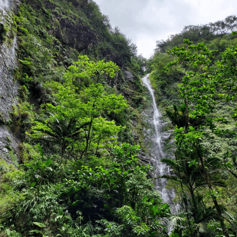 Les 5 plus belles cascades de Martinique à découvrir absolument ...
