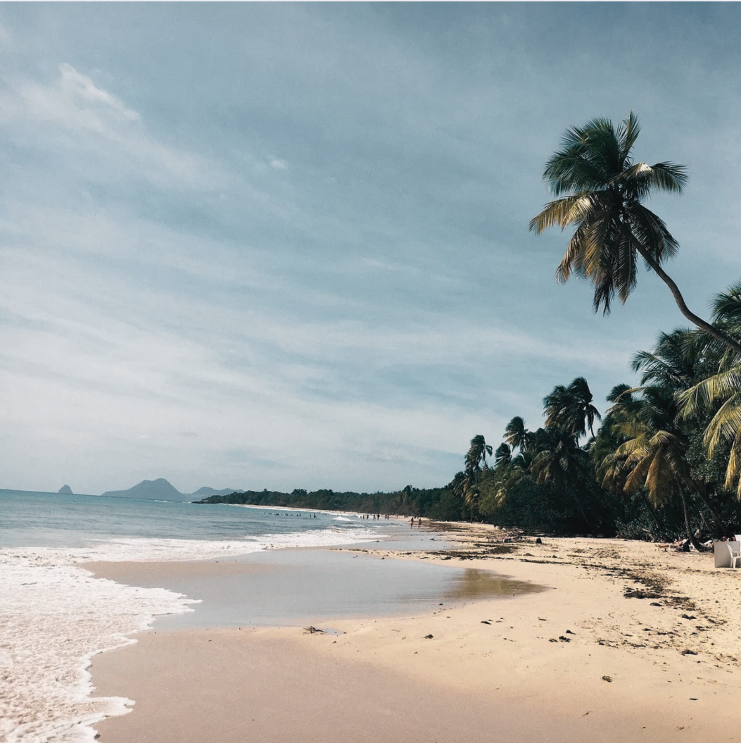 The 5 Most Beautiful Beaches in Martinique - Karibea Group Hub