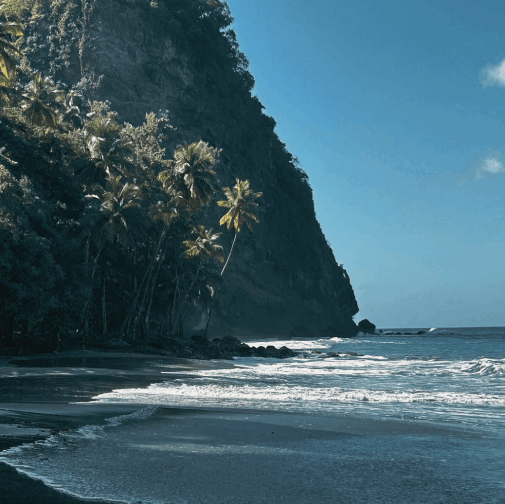 The 5 Most Beautiful Beaches in Martinique - Karibea Group Hub
