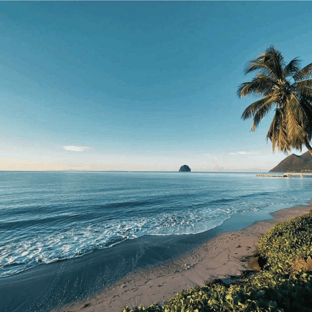 The 5 Most Beautiful Beaches in Martinique - Karibea Group Hub