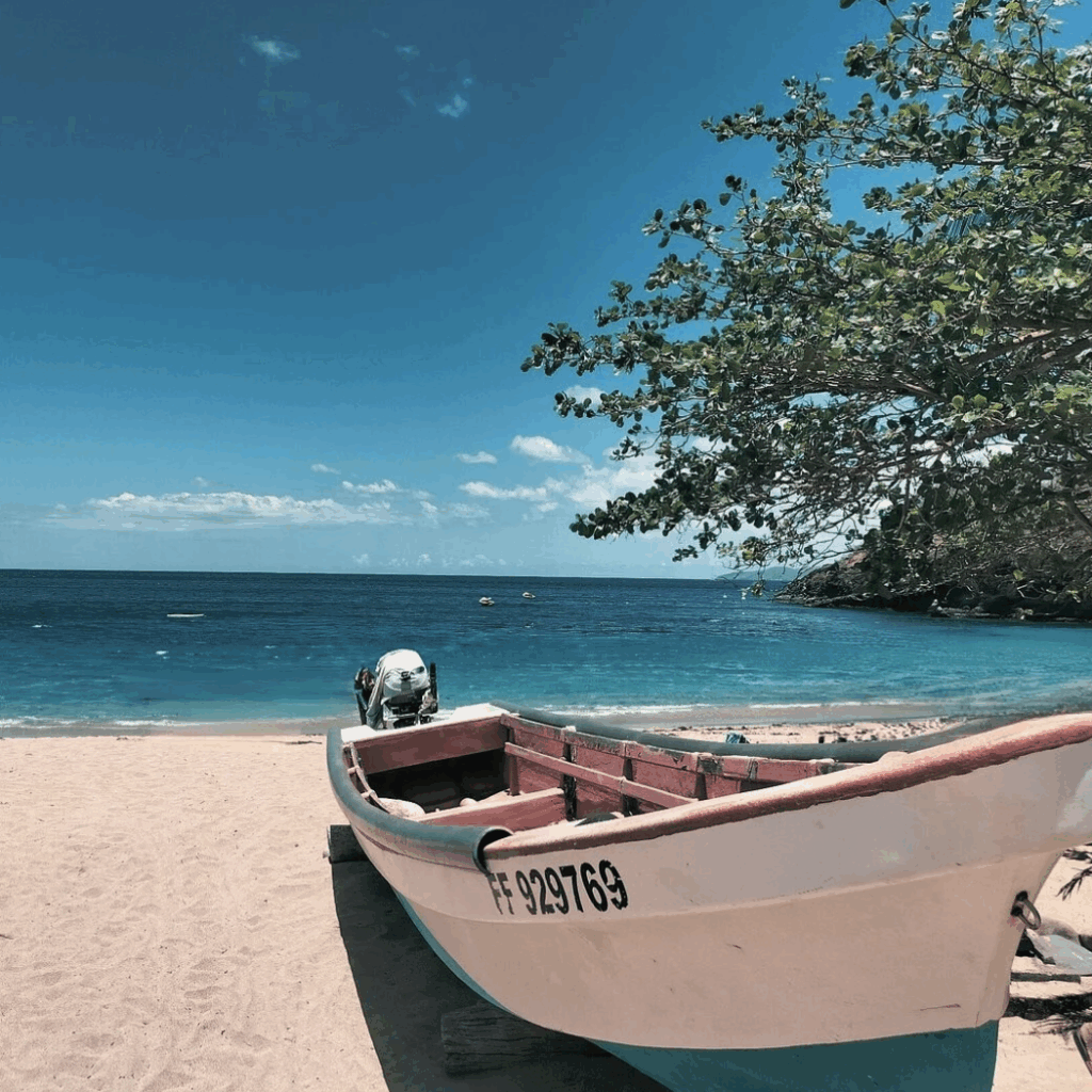 The 5 Most Beautiful Beaches in Martinique - Karibea Group Hub