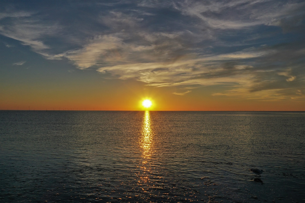 10 Martinican Creole Proverbs Everyone Should Know - Karibea Group Hub